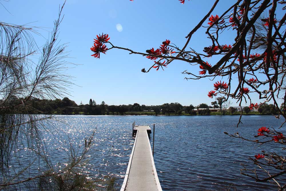 Our vision and values | City of Belmont